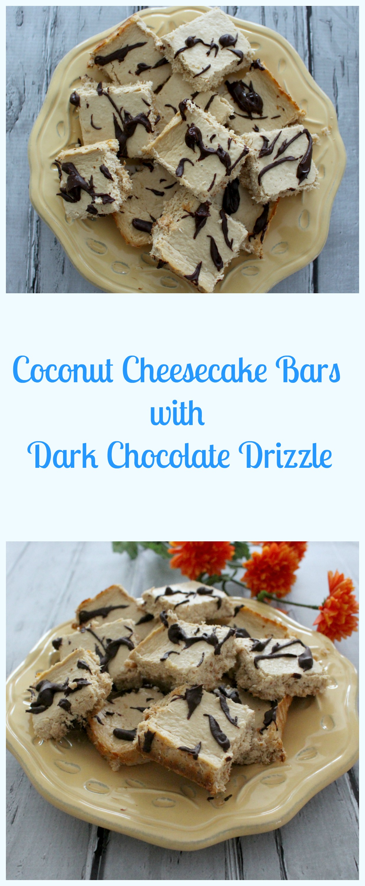 Coconut Cheesecake Bars with Chocolate Drizzle - Pams Daily Dish
